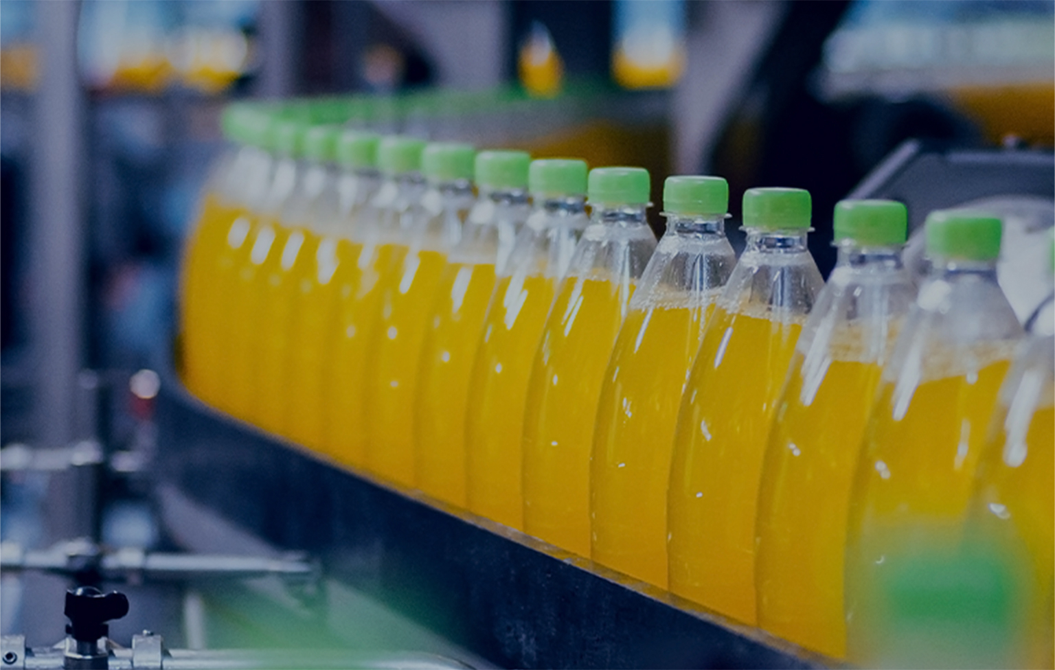 Food Ingredients | Ajinomoto do Brasil